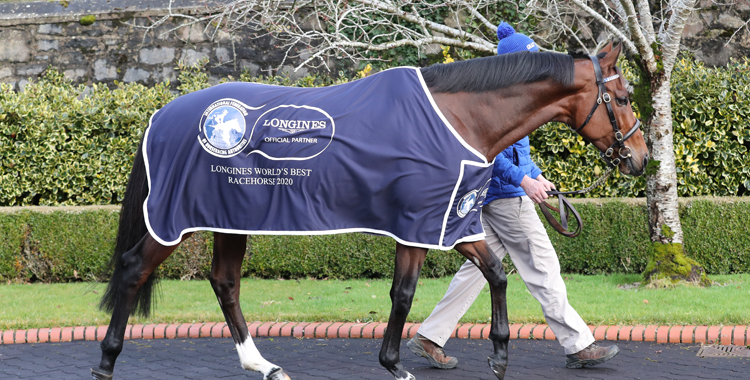 International Federation of Horseracing Authorities